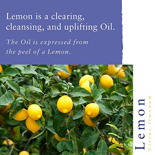 Lemon Essential Oil by Absolute Aromas | Popular in natural cleaning ...