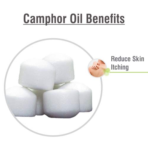 Salvia Camphor Oil (Cinnamonutn Camphora) 100% Pure & Natural With ...